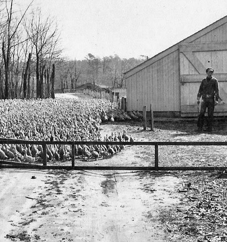 Our History | Crescent Duck